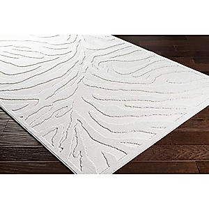 Artistic Weavers Zandy Outdoor Textured Area Rug