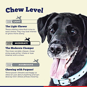 CHEWY LOUIE 5" Steer Sticks - 100% Beef Treat, No Artificial Preservatives, Colors, or Flavors. Tough, Long-Lasting, and Dental Support Dog Treats.