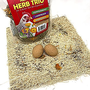 Cackle Hatchery Nest Box Accessory Kit (Standard) - Nest Box Pads, Nesting Herbs, Ceramic Nest Eggs, & Egg Cartons
