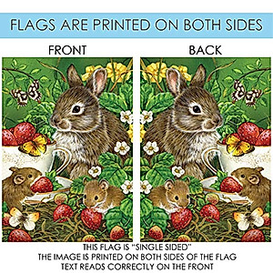 Toland Home Garden 101176 Berry Sweet Easter Flag 28x40 Inch Double Sided Easter Garden Flag for Outdoor House Spring Flag Yard Decoration
