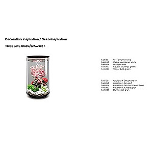 BiOrb 46090.0 Aquatic Caulerpa Green Aquariums