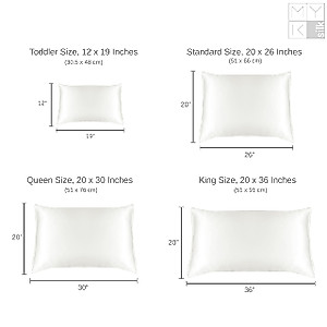 MYK Silk Pure Natural Mulberry Silk Pillowcase, 19 Momme with Cotton Underside for Hair & Skin, Oeko-TEX Certified, Hypoallergenic, Curly Friendly, French Grey