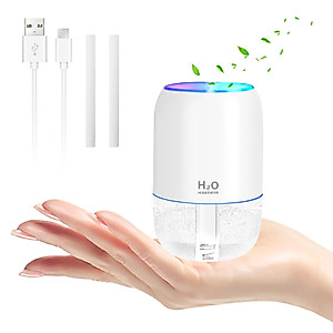 USB Powered Mini Humidifier for Bedroom, Portable 200ml Small Cool Mist Auto Shut-Off Desk Humidifier with Colorful Lights and 2 Mist Modes for Home Office Car Indoor Plants (White)