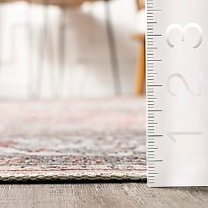 nuLOOM CIA Floral Stain-Resistant Machine Washable Area Rug, 8x10, Pink