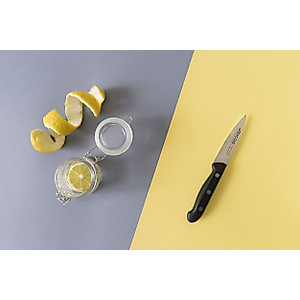 ARCOS Paring Knife 4 Inch Stainless Steel. Professional Kitchen Knife for Peeling Fruits and Vegetables. Ergonomic Polyoxymethylene Handle and 100mm Blade. Series Maitre. Color Black