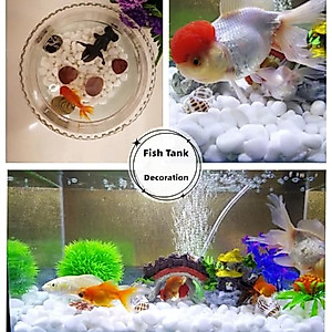 White Rock Pebbles 2.1lb Pumice Potting Soil Amendment - Succulent & Cactus Bonsai Gritty Rock Decorative Gravel Plant Drainage for Top Dressing & Fairy Gardening