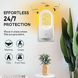 ULTRABOT Indoor Plug-in Fly Trap Refill Pack of Glue Cards for MK13A Indoor Flying Insect Trap, Replacement Sticky Pads for Insect Catcher (12 Refills - No Device)