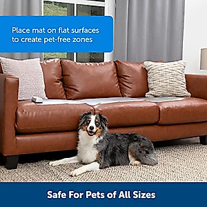 PetSafe ScatMat Indoor Training Mat, Sofa, 60 in X 12 in