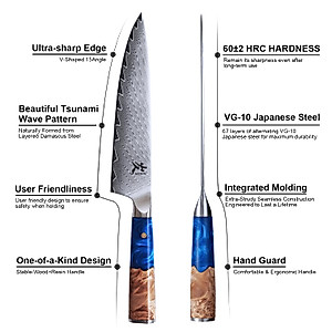 SAMCOOK Chef Knife - 8 Inch 67 Layer Forged Damascus Japan VG-10 Stainless Steel Kitchen Knives Blue Resin Wood Handle High Strength And Good Toughness Razor Sharp Cutting Meat