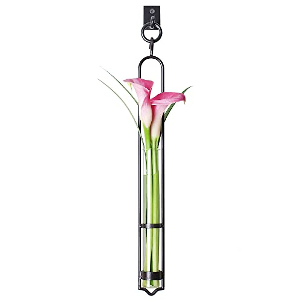 Couronne Co. Florence Hanging Pendant Tube Vase with Wall Hook, M044-001, 16.5 Inch Tall, 2.7 Ounce Capacity, Clear, 1 Piece