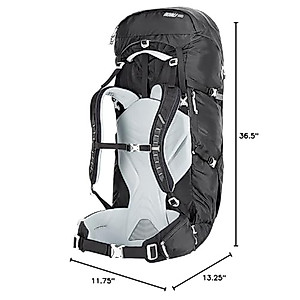 Gregory Mountain Products Denali 100 Liter Alpine Backpack , Basalt Black, Medium