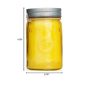 Paddywax Scented Candles Relish Mason Jar with Lid Luxury Artisan Candle, 9.5-Ounce, Fresh Meyer Lemon