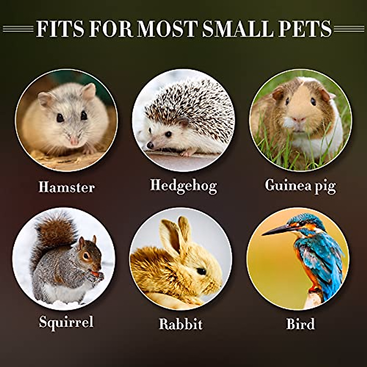 4 Pieces Automatic Bird Water Dispenser Bird Cage Waterer Feeder Bird Accessory Drinker Bottle for Hamster Parrot (Plain Color, 12 x 5.5 cm)