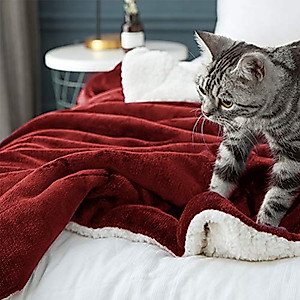 LBRO2M Sherpa Fleece Bed Blanket Twin Size Super Soft Fuzzy Plush Warm Cozy Fluffy Microfiber Couch Throw Velvet Double Reversible Luxurious Blankets,Red