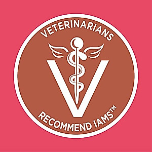 IAMS PROACTIVE HEALTH High Protein Adult Dry Cat Food with Chicken & Salmon Cat Kibble, 6 lb. Bag