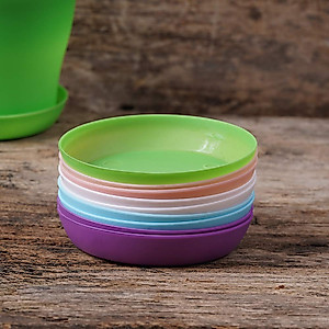 TDHDIKE 10 Pcs Plastic Planters Indoor Pots, Mini Flower Seedlings Nursery Flower Pot with Pallet, Modern Decorative Gardening Containers