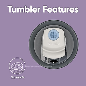 Owala Stainless Steel Triple Layer Insulated Travel Tumbler with Spill Resistant Lid and Straw, BPA Free, 24 oz, Grey/Purple (Bunny Hop)