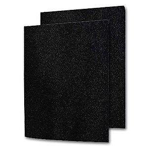 FRESH HEADQUARTERS 2pk Type A Carbon Prefilter Replacement Filter A, Compatible with Filtrete FAP-C01-A and IDYLIS AC-2119 Air Purifier Filter Size A