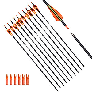 Hunter Ian Archery Carbon Arrow Hunting Arrows 28 Inch with 100 Grian Removable Tips for Compound Bow & Recurve Bow Practice Shooting (Pack of 12)