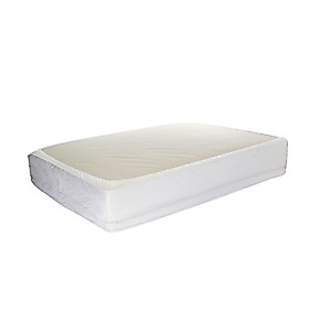 ActiveGuard Mattress Liner Bed Bug (Queen)