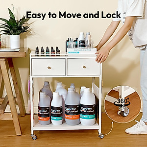 Resiners Epoxy Resin Kit Storage Cart, Mica Powder Storage Table for Organize Resin Supplies Epoxy Resin Pigments Mica Powder Glitter Powder Mixing Cups Molds Accessories