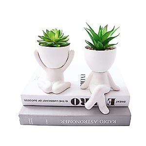 VENY TAYA 2 PCS Unique Artificial Plants Succulents Office Decor for Women and Men, Small Fake Plants with Human-Shaped Pots, Cute Faux Plants Indoor for Office or Home Decoration, White