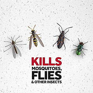 Raid Flying Insect Killer, Kills Flies, Mosquitoes, and Other Flying Insects on Contact, For Indoor and Outdoor Use, Orange Breeze Scent, 20 oz (Pack of 12)