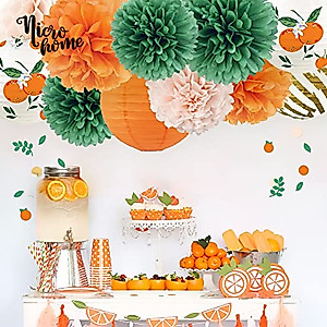 NICROHOME Little Cutie Baby Shower Decorations, 12 PCS Orange Green Tissue Pom Poms Citrus Paper Lanterns Confetti 50G for Summer Party, Birthday, Fruit Party