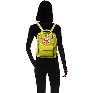 FJALL RAVEN(フェールラーベン) Fährlaven Kanken Mini Women's Official Amazon Backpack, Birch Green