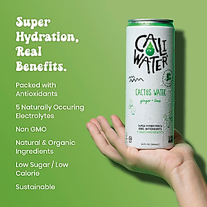 Caliwater - Organic Cactus Water - Ginger and Lime - 5g Sugar, 25 Calories - Coconut Water Alternative - Natural Plant Based Hydration - Skin Care, Electrolyte Drinks - Flavored Water - 12 Cans