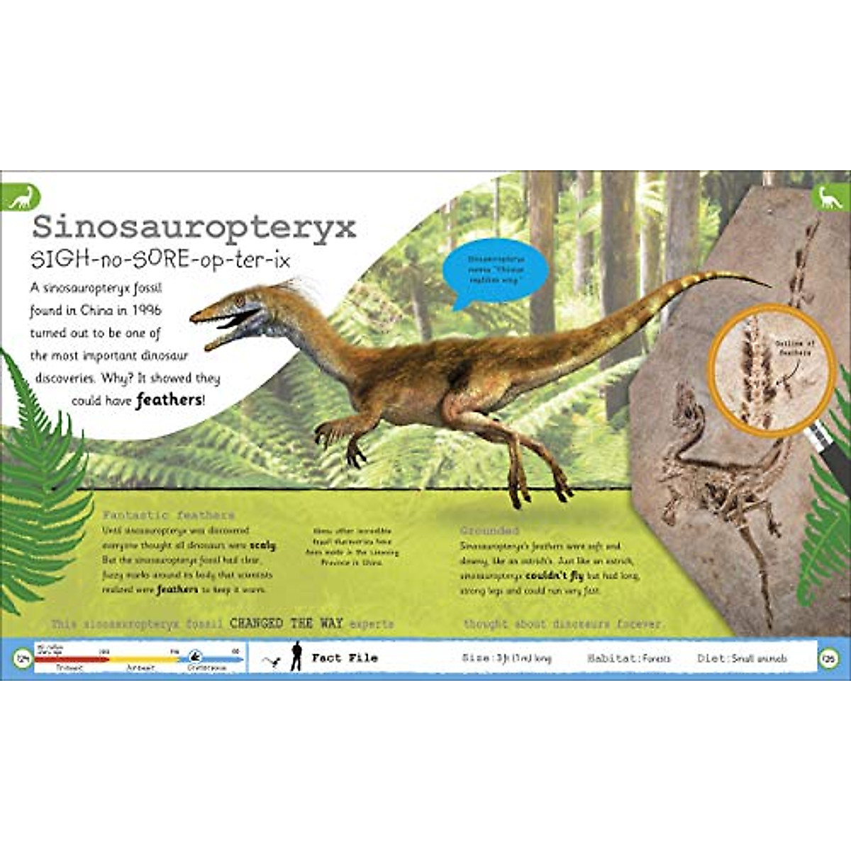 My Encyclopedia of Very Important Dinosaurs: Discover more than 80 Prehistoric Creatures (My Very Important Encyclopedias)