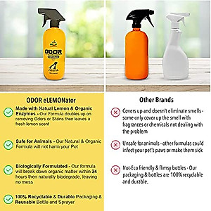 Lots of Lemon - Pet Odor Eliminator for Home - Professional Strength Citrus Infused Enzyme Powered Urine Odor Eliminator for Carpet, Furniture, Hardwood Floors & Rugs - Small Dogs