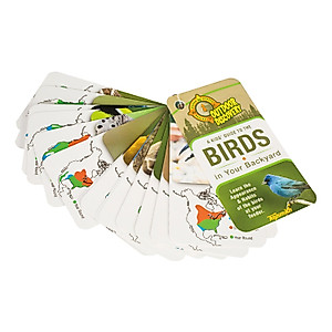 Toysmith Little Birder Set Outdoor Discovery , Blue