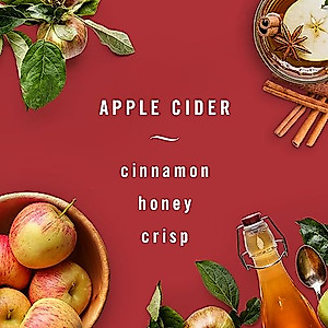 Febreze Air Fresheners, Bathroom Spray Room Fresheners, Odor-Fighting Air Freshener Apple Cider, Cranberry Tart, Heavy Duty Crisp Clean, 8.8 oz. Aerosol Can, Pack of 3