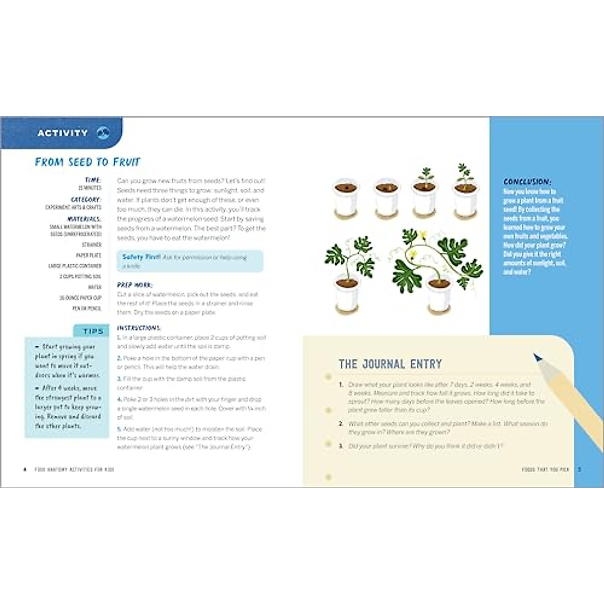Food Anatomy Activities for Kids: Fun, Hands-On Learning