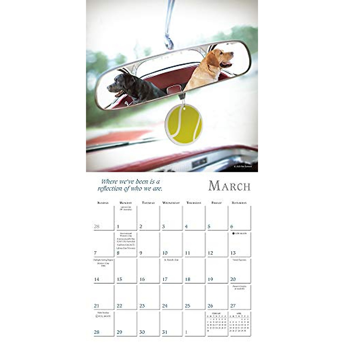 2021 Dogma: A Dogs Guide to Life Mini Calendar