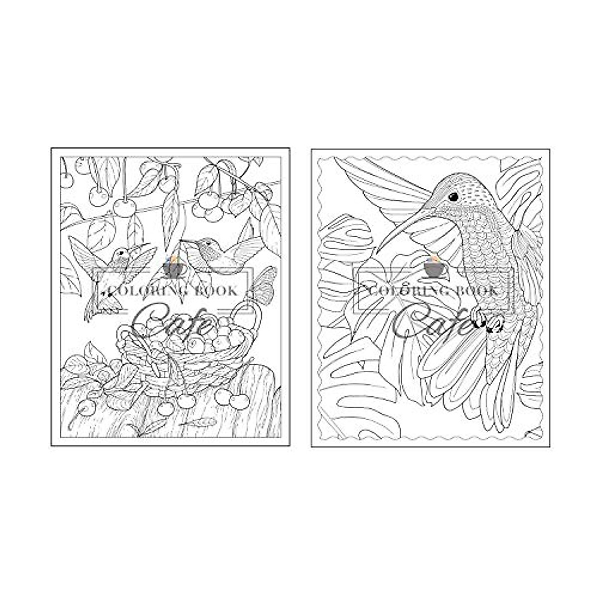 Hummingbird Coloring Book: An Adult Coloring Book Featuring Charming Hummingbirds, Beautiful Flowers and Nature Patterns for Stress Relief and Relaxation