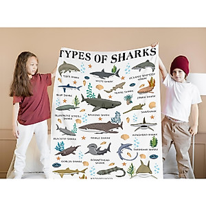 Shark Blanket Shark Gifts for Kids Boys Girls Shark Lovers Types of Sharks Plush Cozy Flannel Cute Animal Educational Throw Sheet 50" X 40" Decor for Couch Daycare Nap Birthday Decorations Bedroom