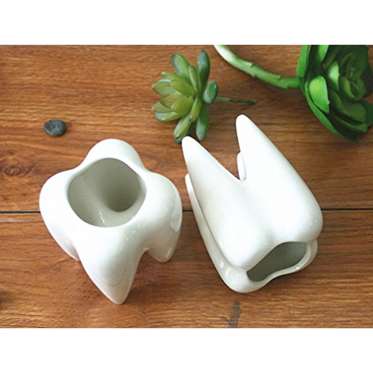 MONMOB Ceramic Tooth Shaped Pen Pencil Toothbrush Holder Pot Succulent Plant Pot Home Office School Dentists Gift (3.9")