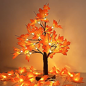Lighted Maple Tree Thanksgiving Decorations, 24LED Tabletop Tree Lights Artificial Bonsai Tree Lamp Fall Centerpieces for Tables, Autumn Christmas, Halloween, Fall Decor for Home Warm White