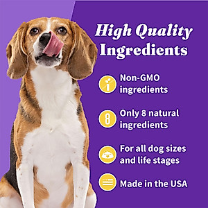 Halo Plant-Based Dog Treats with Peanut Butter and Banana, Vegan Dog Treat Pouch, 8oz bag