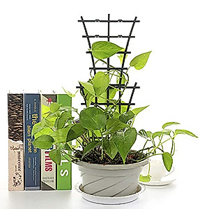 GWOKWAI 12Pcs Plant Climbing Trellis Supports, DIY Garden Mini Superimposed Potted Plant Support Plastic Pot Plant Stem Support Wire for Indoor Outdoor Vines Flower Vegetable