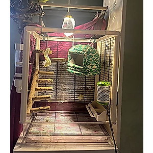 AWXZOM Natural Wood Bird perches Bird Ladder Perch Parrot Ladder Hamster Climbing Toys Nature Wood Stand Parrot Chew Toy for Small Animal