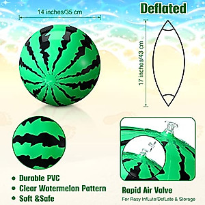 Lenwen 10 Pcs Pool Toys 14 Inch Large Inflatable Beach Ball with Inflator for Kids Adult Teen Summer Vacation Fun Swimming Pool Water Games Party Supplies