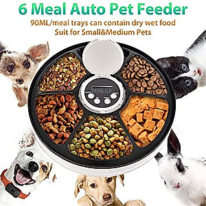 ZZK Pet Bowl pet Supplies six Grid Dog/cat pet Feeder timed Reminder Voice Dry and Wet Food LCD programmable Automatic Dispenser,A