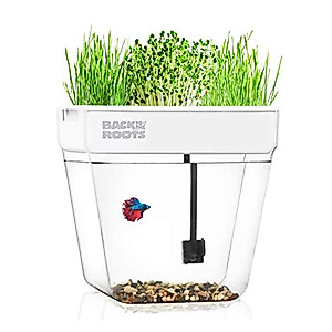 Back to the Roots Indoor Aquaponic Garden and Fishtank - 3 Gallon Self Watering, Mess-Free Planter and Self-Cleaning Fishtank for Herbs, Microgreens, Bamboo, Succulents, and Houseplants, support Fish
