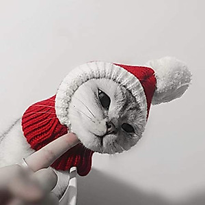 POPETPOP Funny Cat Dog Christmas Hat - Adorable Pet Christmas Outfits for Dogs - Cute Knit Winter Warmer Snood Pet Headwear - Pet Party Accessories (Red, Size M)