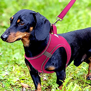 Joytale Small Dog Harness, Breathable Mesh Step-in Vest Harness, Reflective Soft Padded Harnesses for Small and Medium Dogs, Hot Pink, M