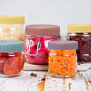 10 Plastic Mason Jar Lids, Colored Mason Jar Lids, 70mm Inner Diameter Mason Jar Lids Regular Mouth with Silicone Ring,Regular Mouth Mason Jar Lids Suitable for Glass Cans, Cans