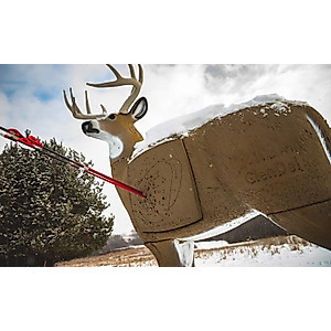 Field Logic unisex adult GlenDel Full-Rut Buck insert core Stocked 3D Targets, Brown, Full Rut 14 x14 US